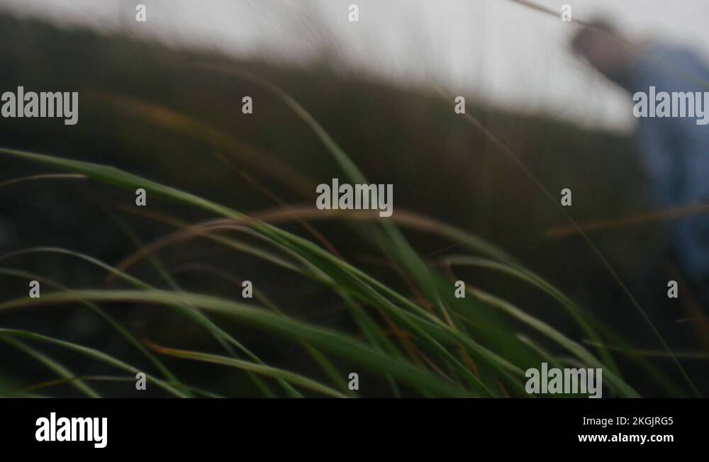 Unfamiliar environment Stock Videos & Footage - HD and 4K Video Clips ...