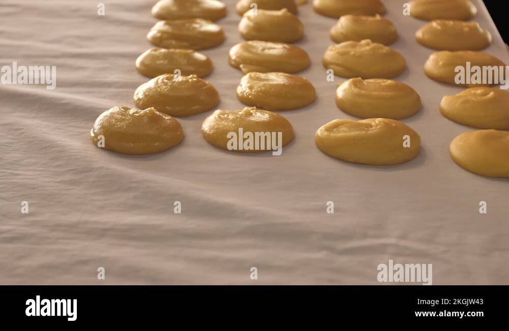 Jaggery tree Stock Videos & Footage - HD and 4K Video Clips - Alamy