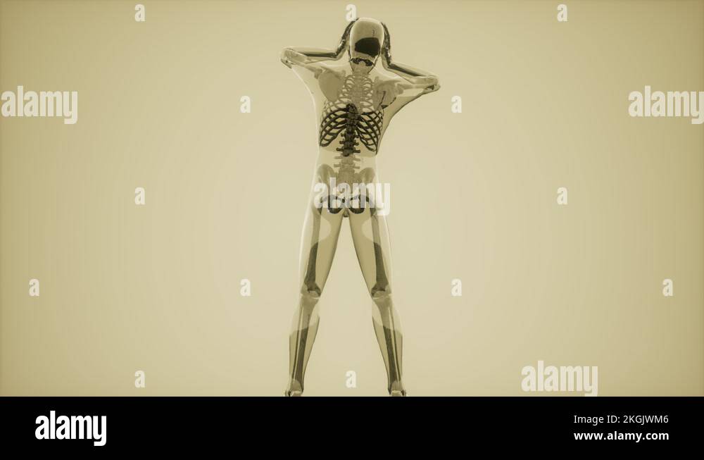 human skeleton radiography medical scan Stock Video Footage - Alamy