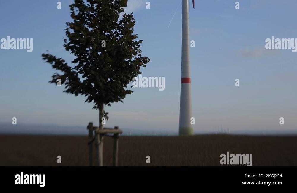 Tree wind turbine energy Stock Videos & Footage - HD and 4K Video Clips ...