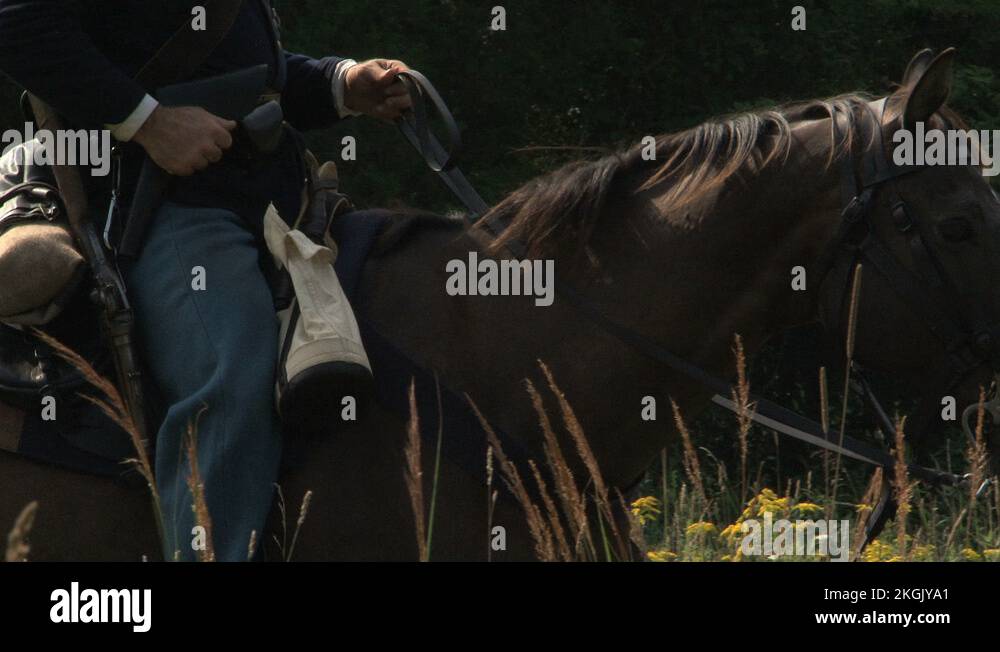 Civil War Union Army Cavalry - On Horseback in open grassy field with ...