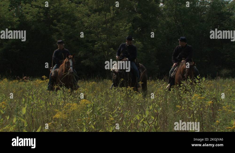 Civil War Union Army Cavalry - On Horseback in open grassy field with ...