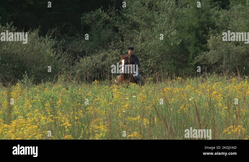 Civil War Union Army Cavalry - On Horseback in open grassy field with ...