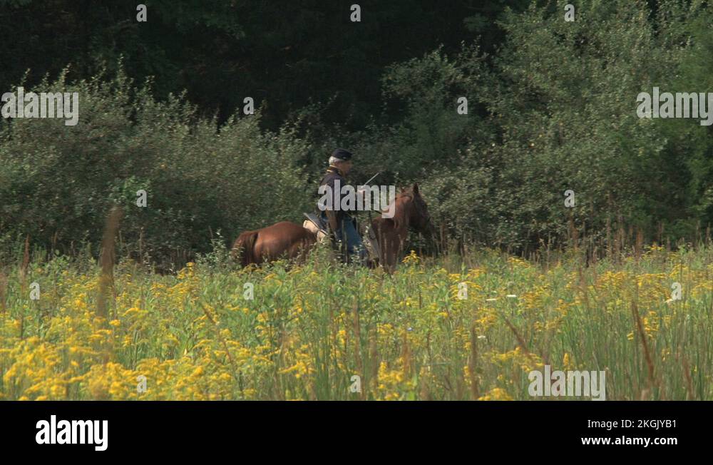 Civil War Union Army Cavalry - On Horseback in open grassy field with ...