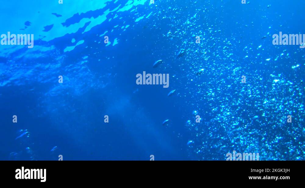 Oxygen bubbles rising surface water Stock Videos & Footage - HD and 4K ...