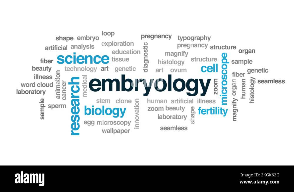 Histology and embryology Stock Videos & Footage - HD and 4K Video Clips ...