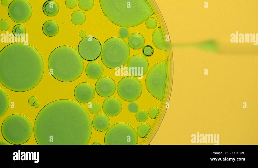 Extraction chemistry Stock Videos & Footage - HD and 4K Video Clips - Alamy