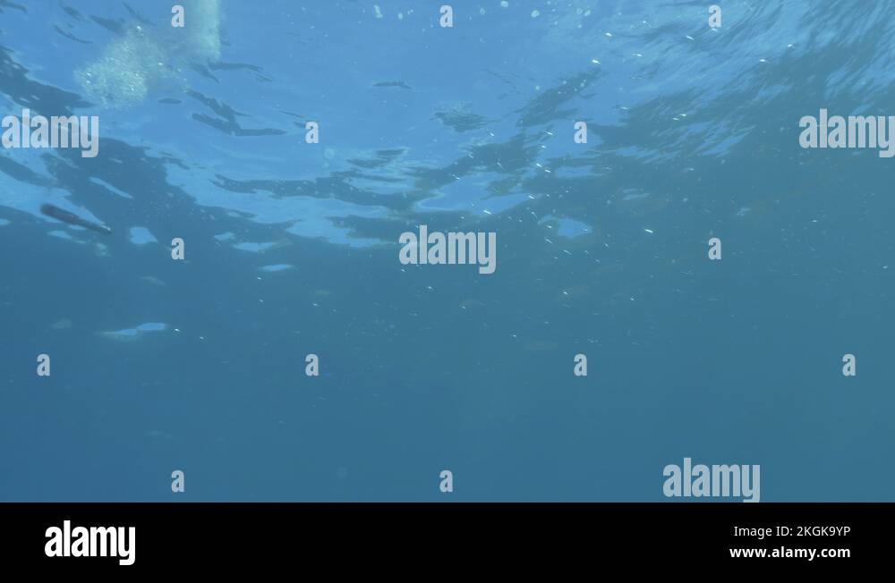 gun falling down from surface to sea bottom underwater Stock Video ...