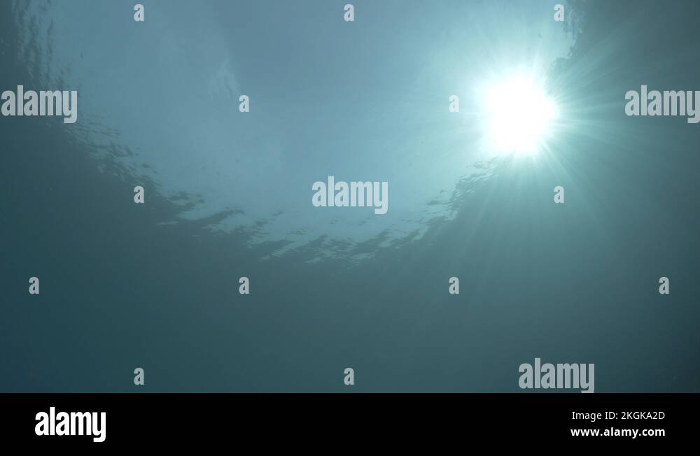 gun falling down from surface to sea bottom underwater Stock Video ...