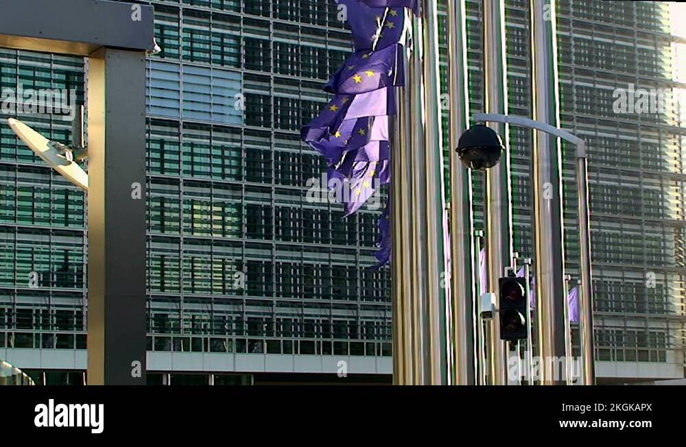 Eec symbol Stock Videos & Footage - HD and 4K Video Clips - Alamy