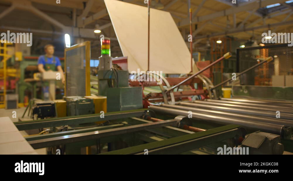 Production line in a woodworking plant for the production of plywood ...