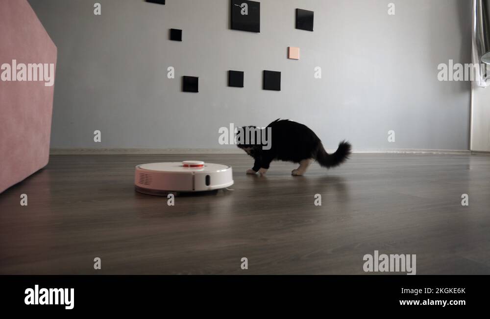 Scared of technology Stock Videos & Footage - HD and 4K Video Clips - Alamy