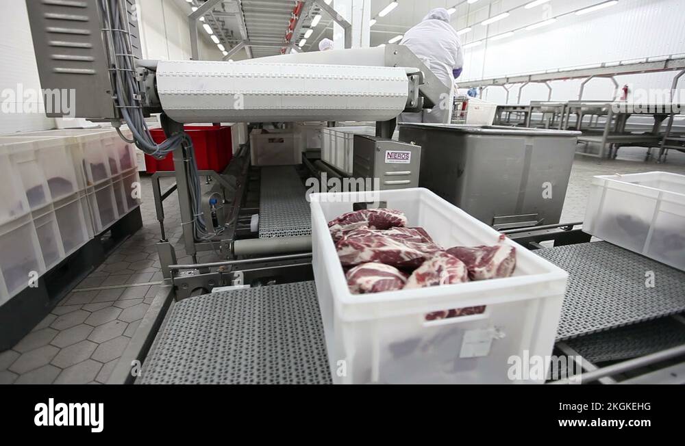 Meat production Stock Videos & Footage - HD and 4K Video Clips - Alamy