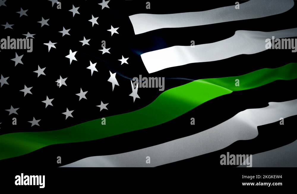 Anley Fly Breeze Green Line USA Flag. Support for Border Patrol Agents Flag Stock Video Footage ...