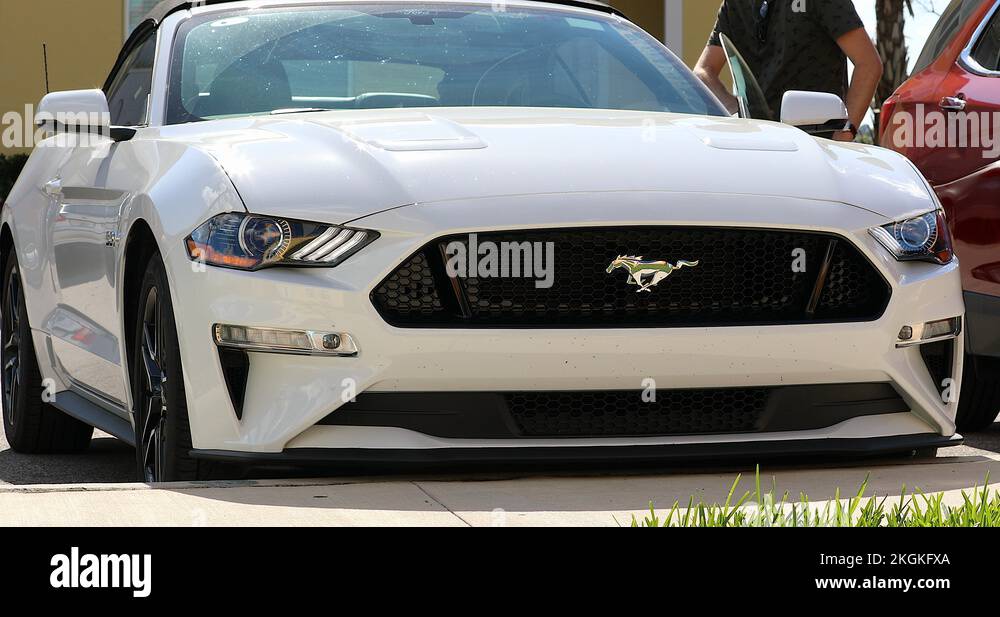 Fop logo Stock Videos & Footage - HD and 4K Video Clips - Alamy