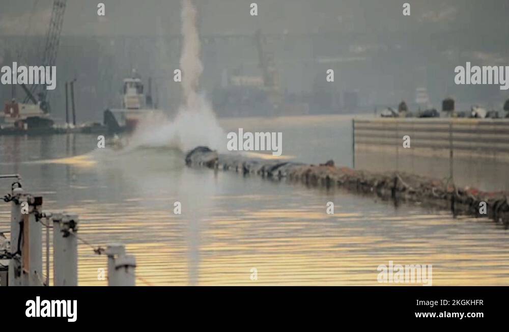 Finger pier Stock Videos & Footage - HD and 4K Video Clips - Alamy