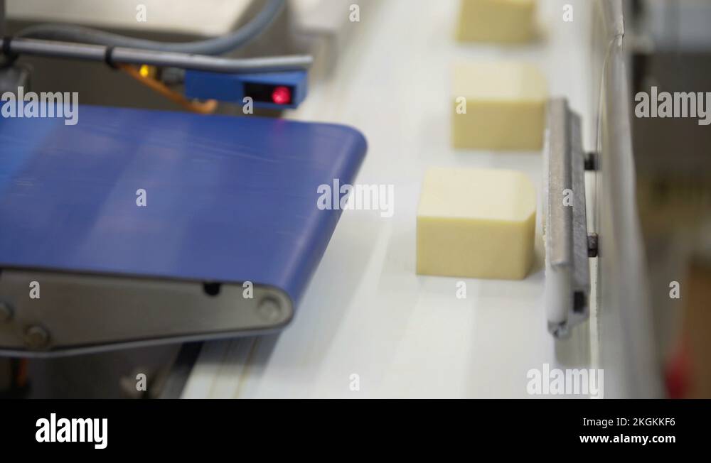 Production food. Cheese factory manufacturing process. Cheese wheel on ...