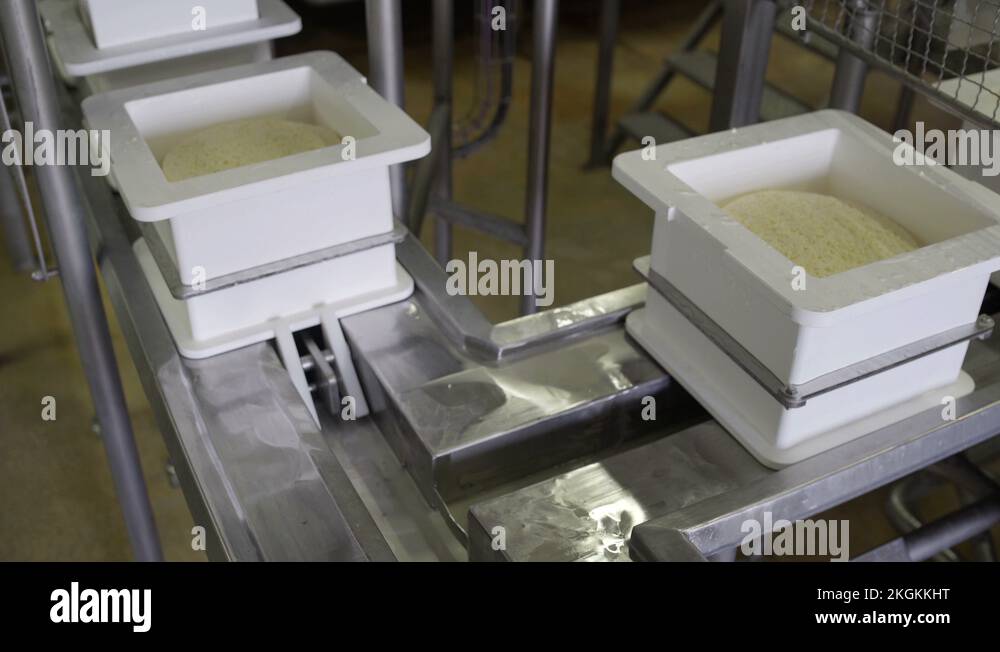 Production food. Cheese factory manufacturing process. Cheese wheel on ...