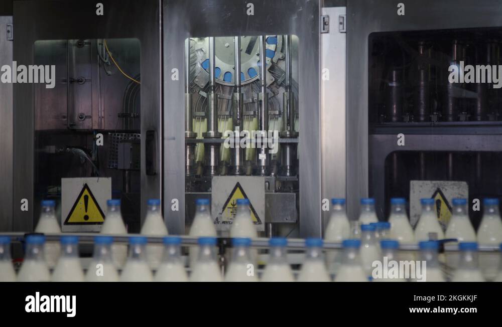 Packaging milk bottles on conveyor line. Milk production plant. Milk ...