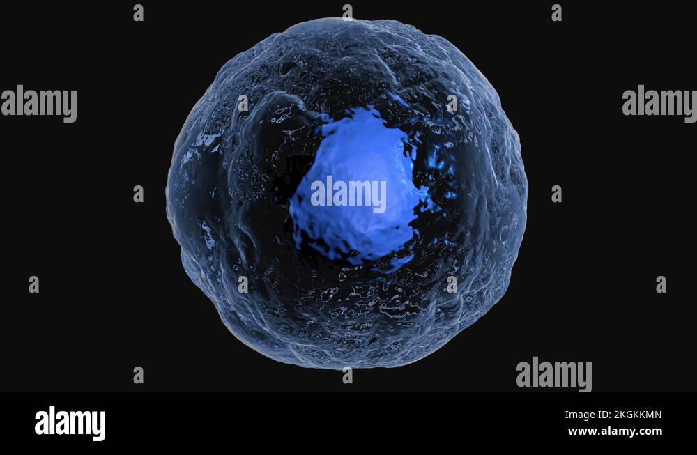 3D animation of eukaryotic cell movement on a black background Stock ...