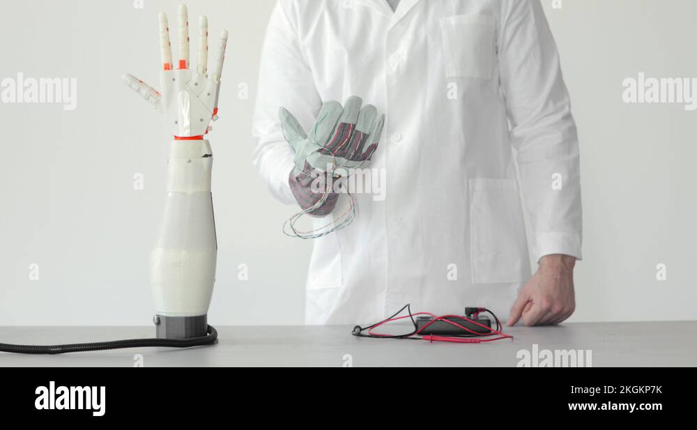 Engineer is testing robotic prosthesis hand which repeats the movement ...