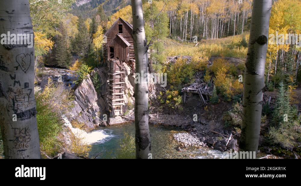 Crystal trees Stock Videos & Footage - HD and 4K Video Clips - Alamy