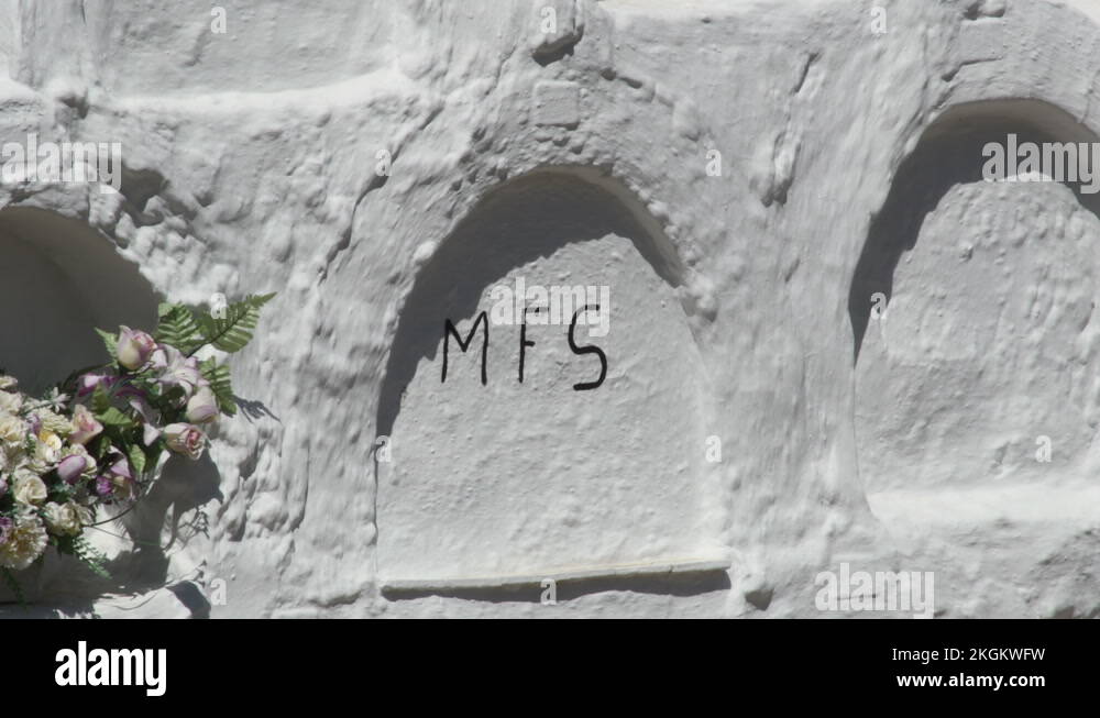 White tombs Stock Videos & Footage - HD and 4K Video Clips - Alamy