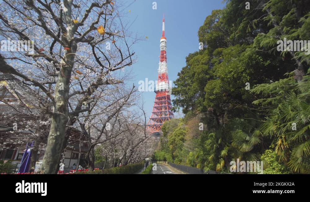 Pink tokyo tower Stock Videos & Footage - HD and 4K Video Clips - Alamy