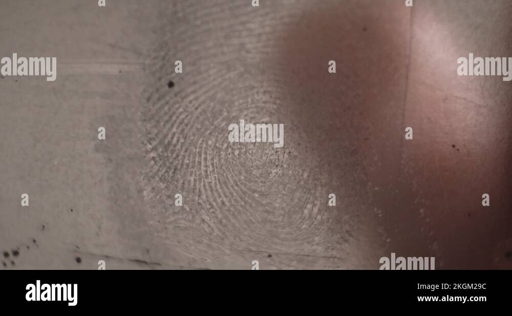 Crime scene fingerprints person Stock Videos & Footage - HD and 4K ...