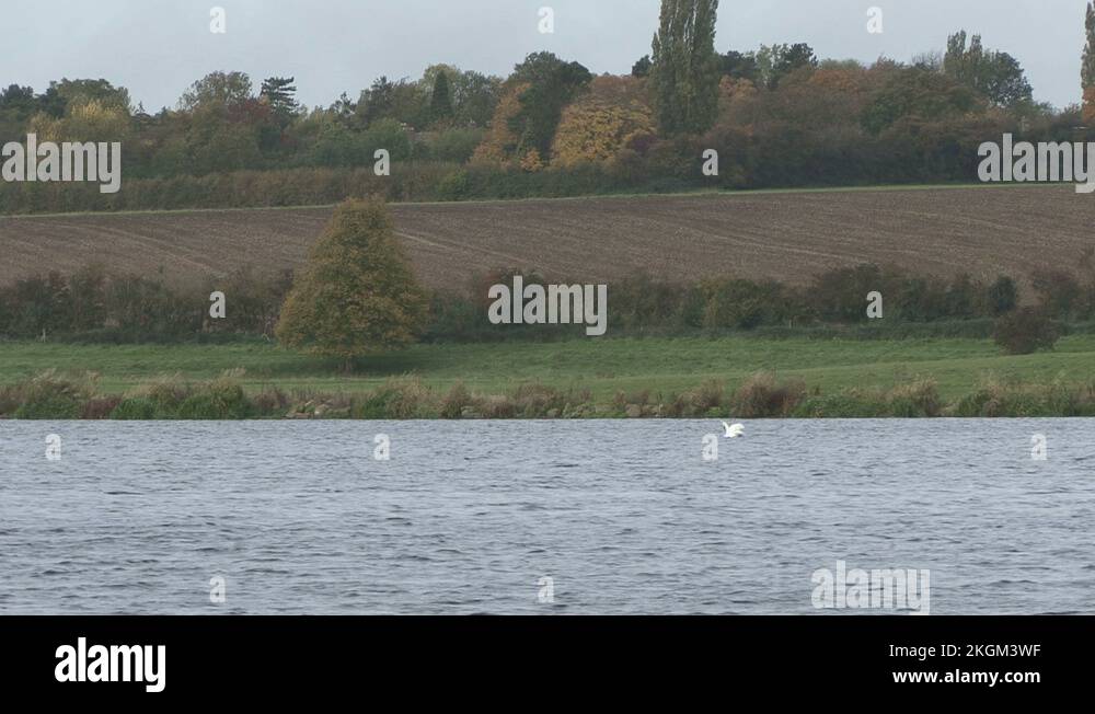 Arable field pond Stock Videos & Footage - HD and 4K Video Clips - Alamy