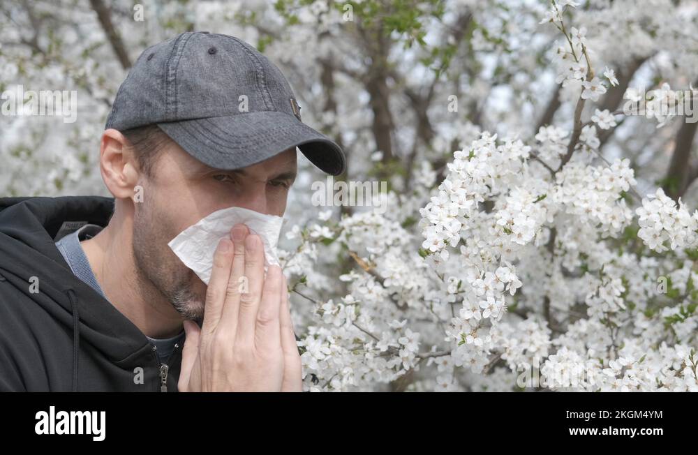 Allergic allergies allergens allergy Stock Videos & Footage - HD and 4K ...