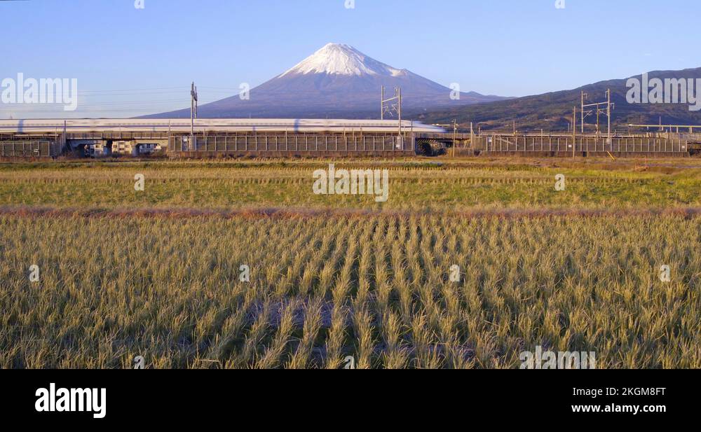 Japan, Honshu, Mount Fuji, Shinkansen Bullet Train passing through ...