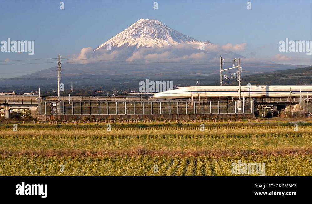 Japan, Honshu, Mount Fuji, Shinkansen Bullet Train passing through harvested Stock Video Footage ...