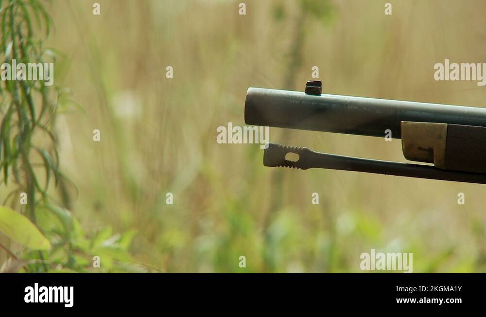 Muzzle loading rifled gun Stock Videos & Footage - HD and 4K Video ...