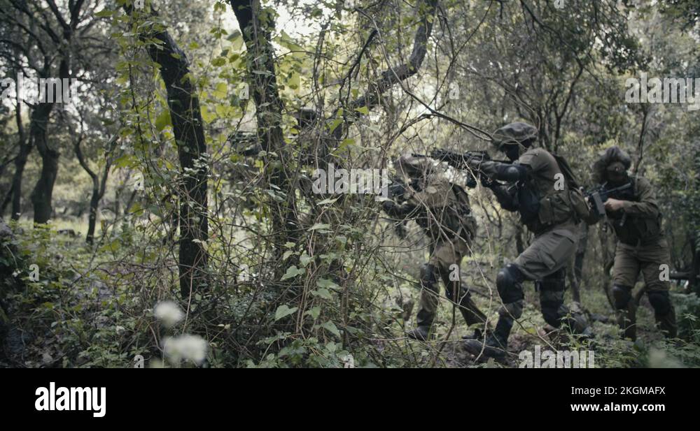 Squad of fully armed commando soldiers during combat in a forest ...