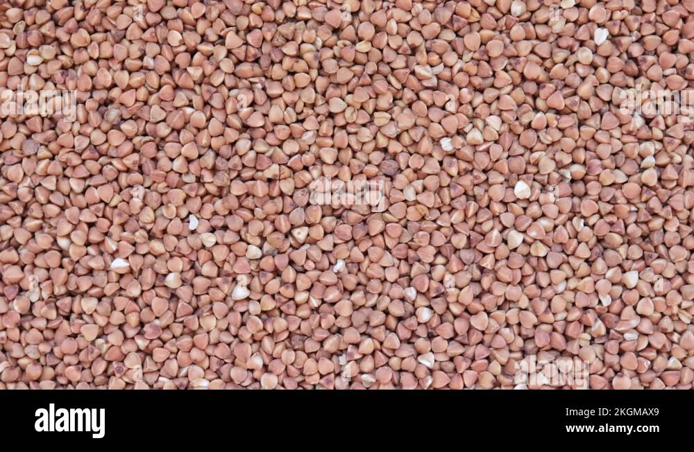Buckwheat texture Stock Videos & Footage - HD and 4K Video Clips - Alamy