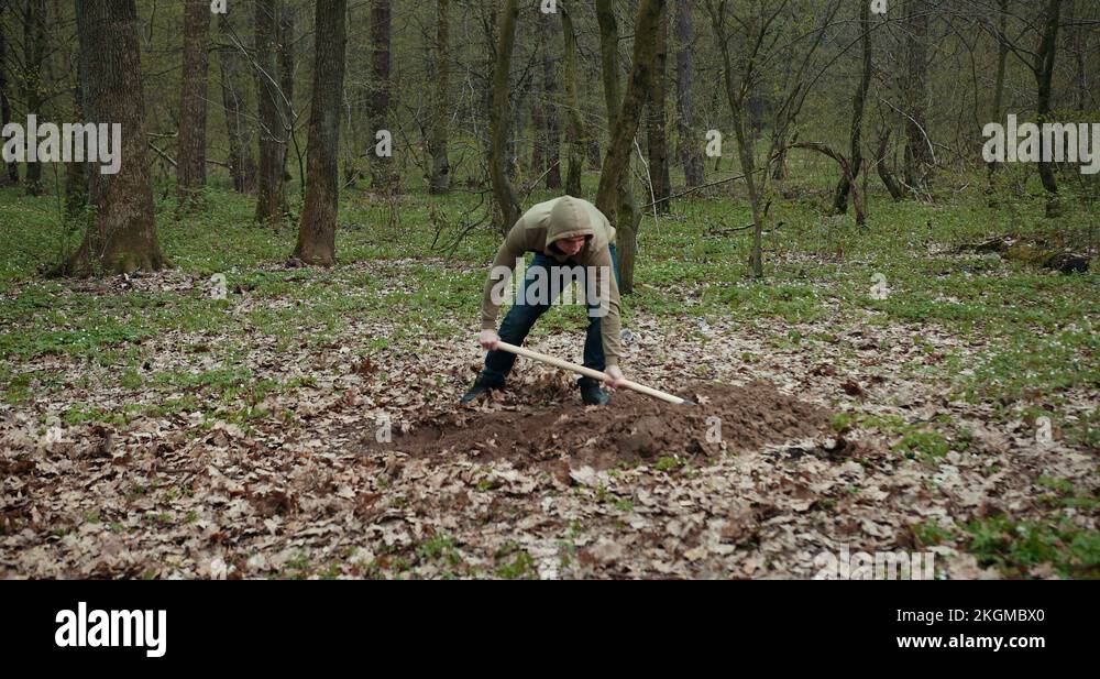 A Man Is Digging A Grave For A Dead Dog. Throws A Shovel Pit Earth ...