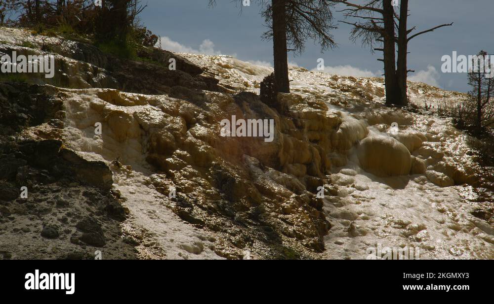 Large Acidic Hot spring rocks Yellowstone, Yellowstone National Park ...