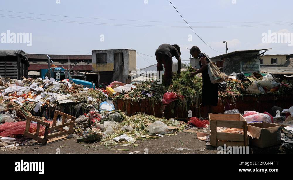 Poor people food garbage Stock Videos & Footage - HD and 4K Video Clips ...