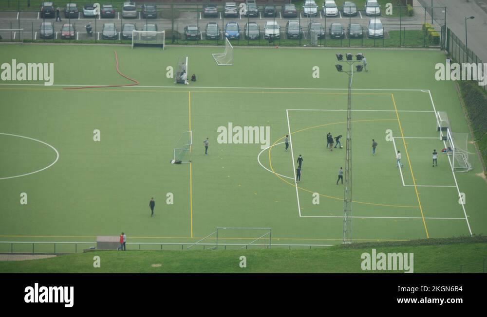 Field fair bird Stock Videos & Footage - HD and 4K Video Clips - Alamy