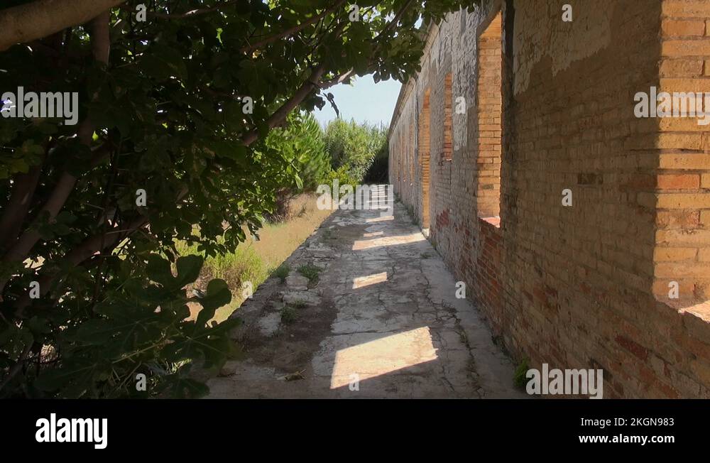 Prat cuartel barracks abandoned ruins exterior windows higuera fig ...