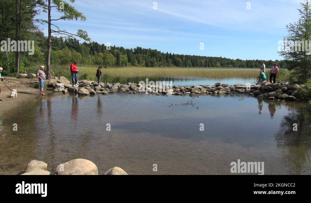 Mississippi river source lake itasca Stock Videos & Footage - HD and 4K ...