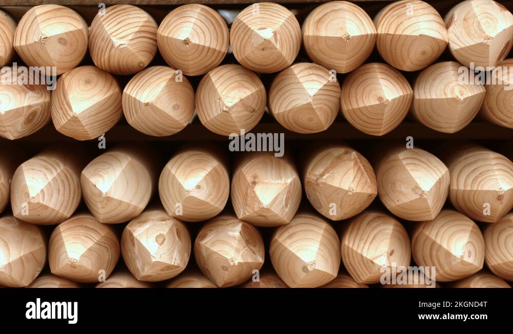Wooden sharpened logs are in rows in warehouse. Processed logs in ...