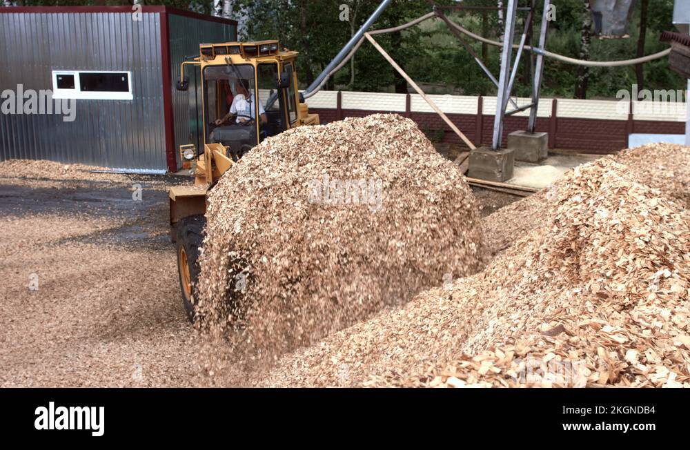 Wheel front loader unloading sawdust into heavy dump truck. Waste on ...