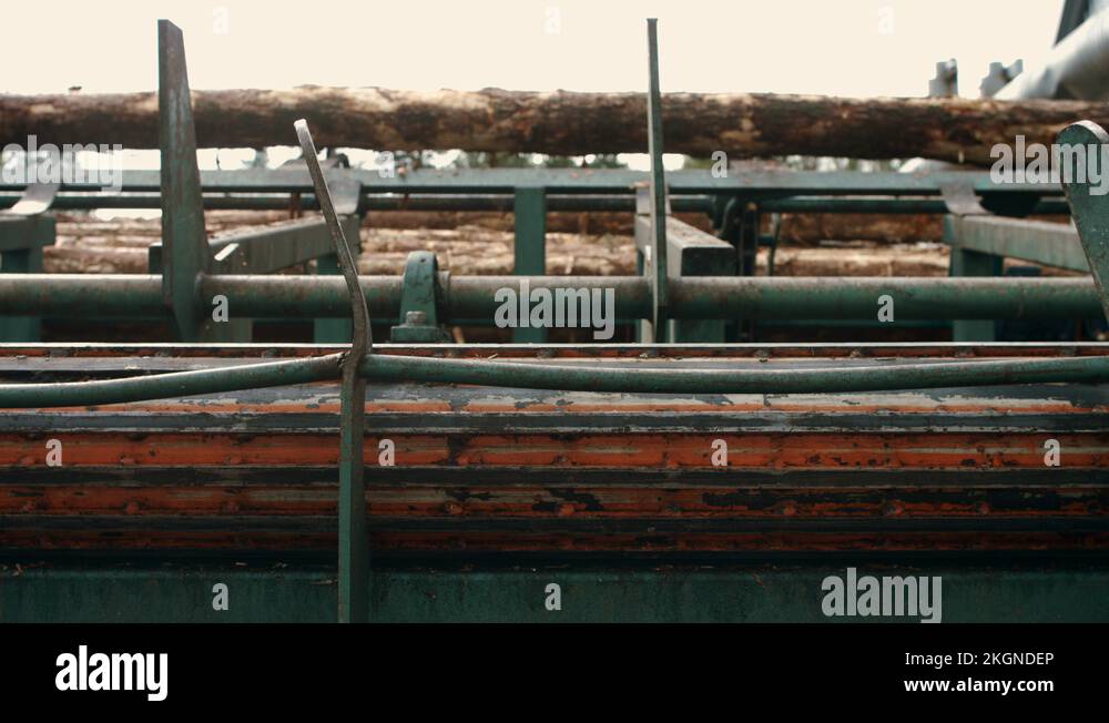 Process of machining logs at sawmill. Processing of timber at sawmill ...