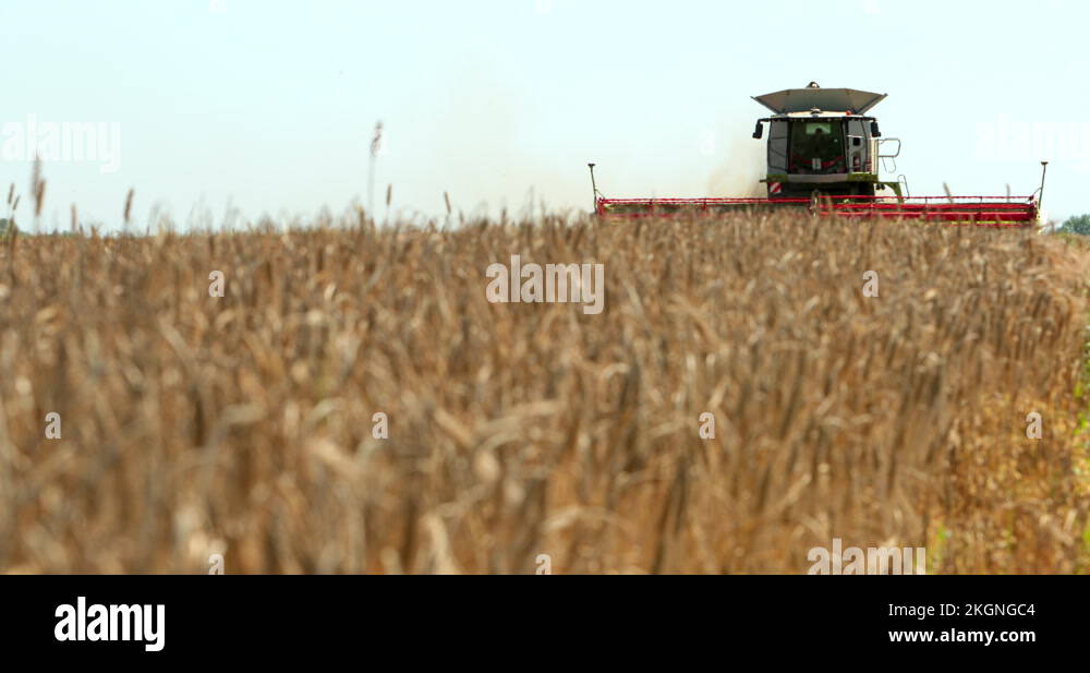 Combine Harvesters Agricultural Machinery. The Machine For Harvesting ...