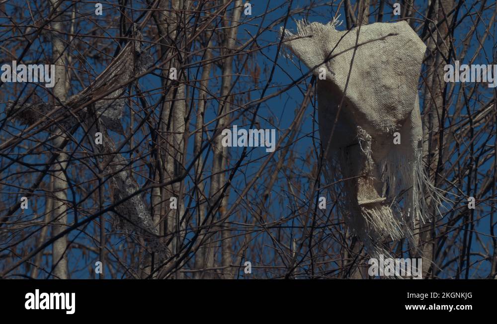 Torn bag Stock Videos & Footage - HD and 4K Video Clips - Alamy