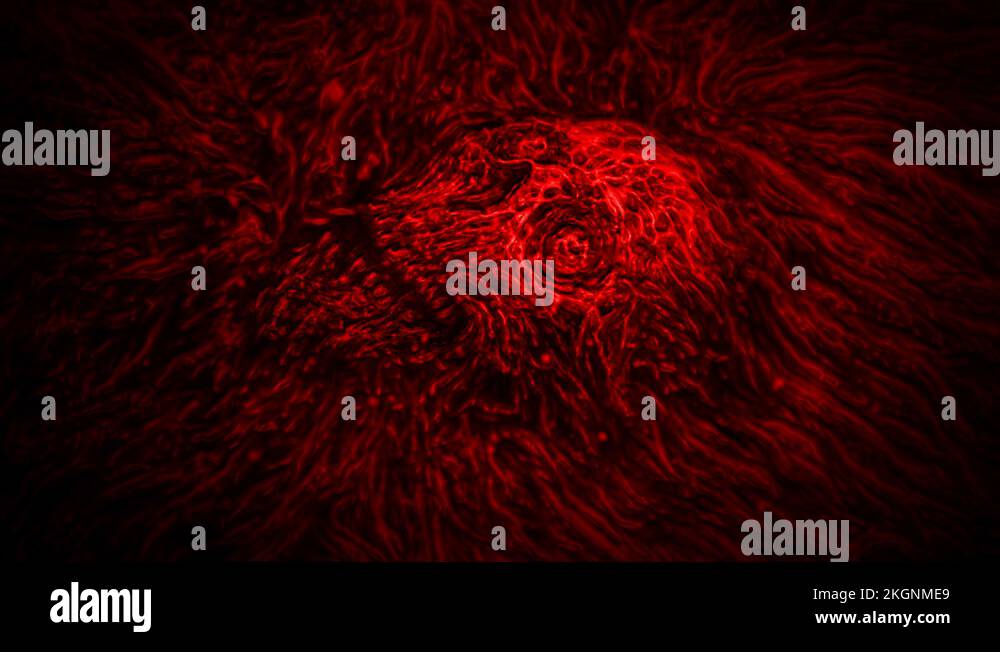 Zombie skull in bloody water animation Stock Video Footage - Alamy