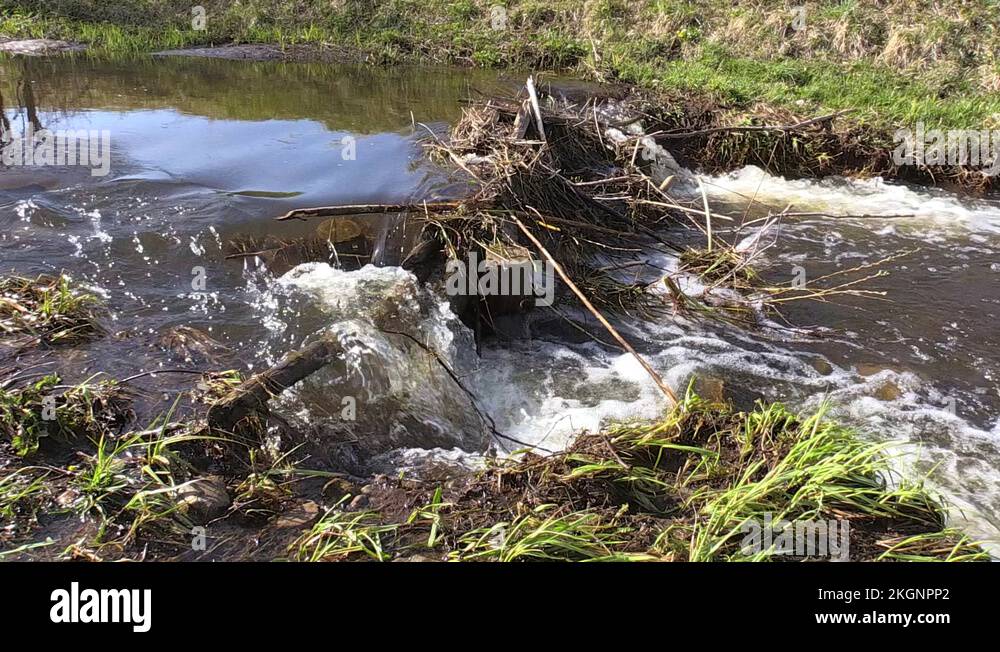 Stream water flow through dam Stock Video Footage - Alamy