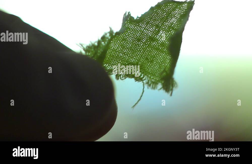 Forensic tool Stock Videos & Footage - HD and 4K Video Clips - Alamy